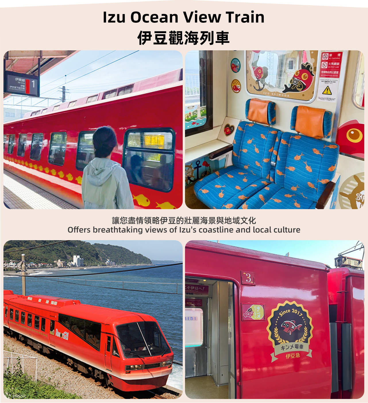Izu Omuroyama & Cactus Zoo & Sea View Train Resort 21 & Jogasaki Coast ...